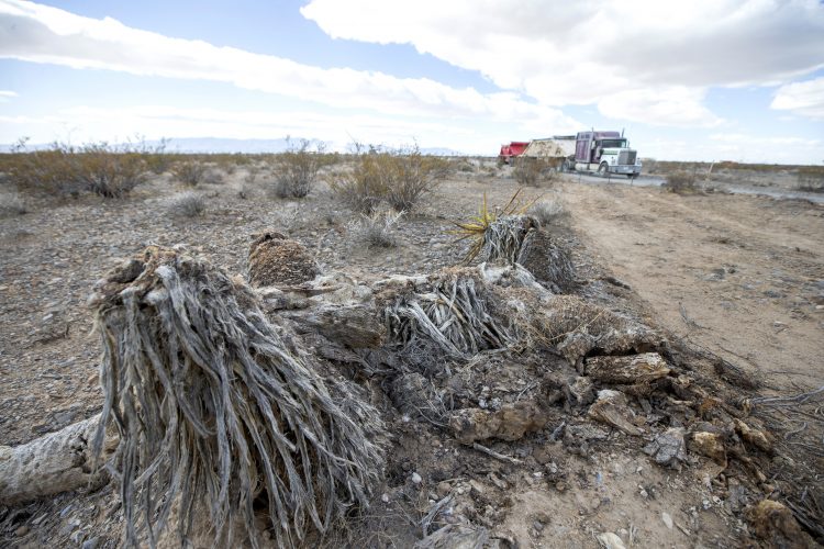 Nevada advocates see landscape toll of green energy projects | News ...